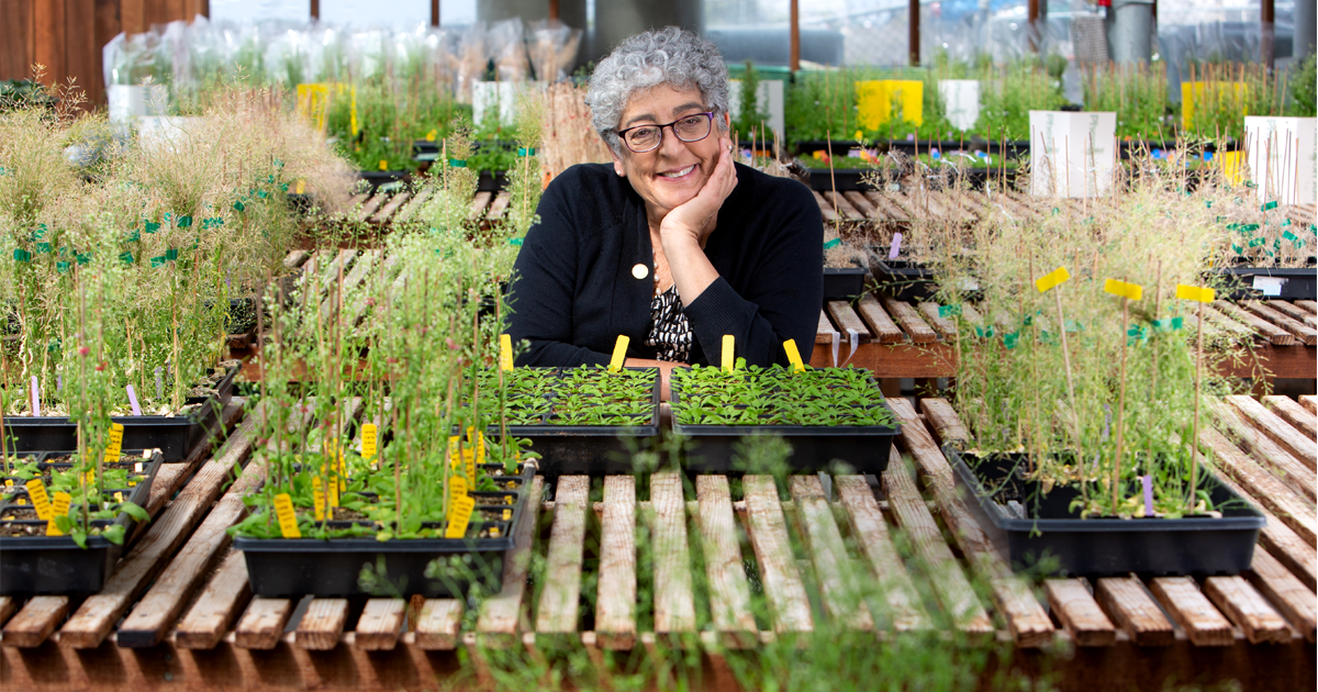 Hidden Voices: Dr. Joanne Chory is Changing the World—One Seed at a Time